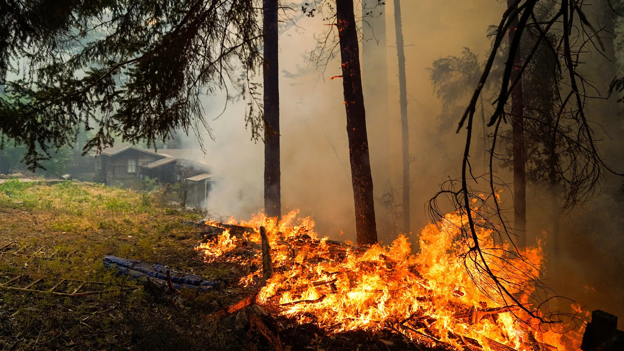 Localities step up measures for forest fire prevention