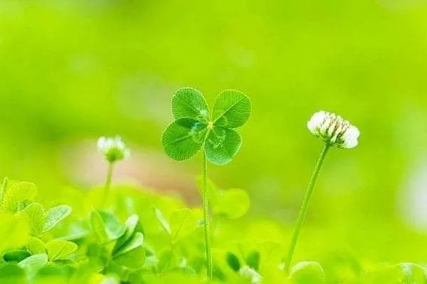 Trao tặng 1 tỷ đồng cho bà con các tỉnh bị ảnh hưởng bởi bão lũ