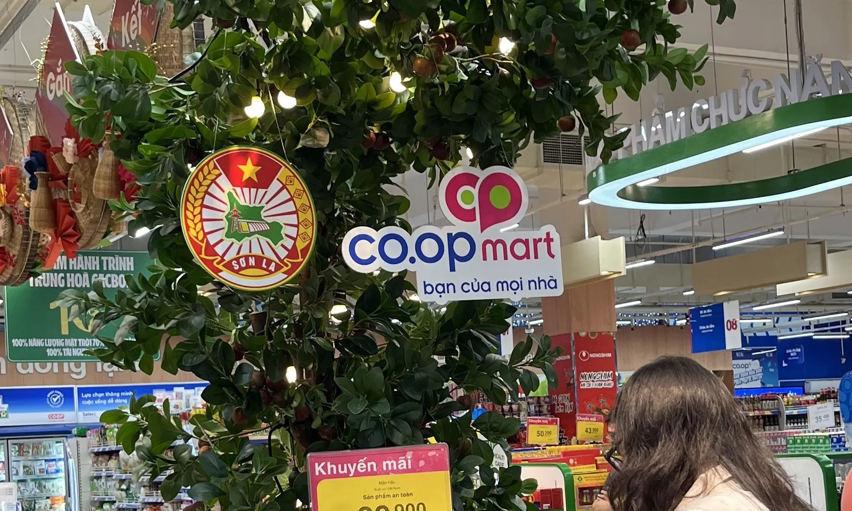 Đưa đặc sản Sơn La vào hệ thống Saigon Co.op